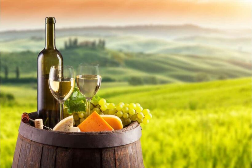 Querétaro: Wine and Cheese Tastings (ENG/CH Private/Join) - An In-Depth Look at the Querétaro Wine and Cheese Tour