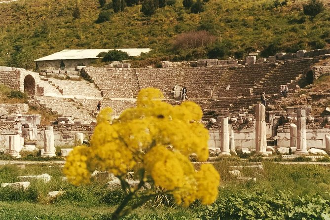 Quick-Ephesus Private Tour - Tour Features