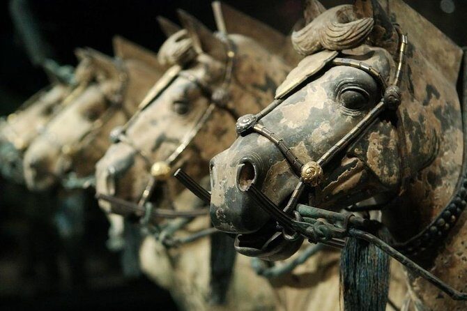 Quick Tour to Xi'an Terracotta Warriors from Shanghai by Air in One Day - The Itinerary: What You’ll Experience