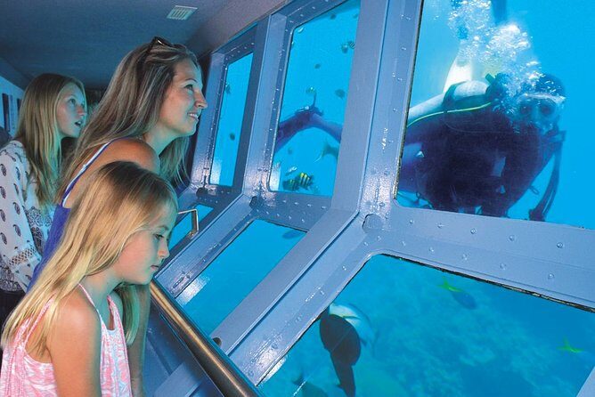 Quicksilver Great Barrier Reef Snorkel Cruise from Port Douglas - Who Will Appreciate This Tour?