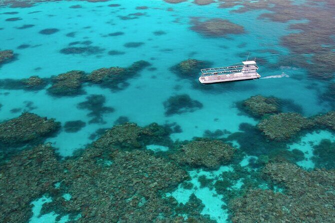 Quicksilver Outer Great Barrier Reef Snorkel Cruise from Palm Cove - Starting Point and Transportation