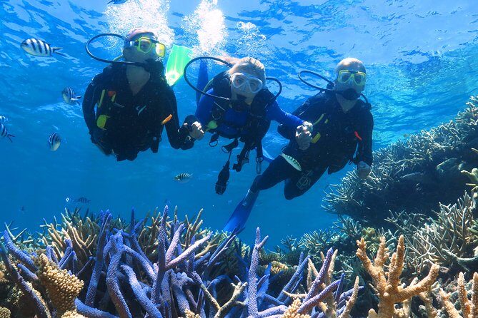 Quicksilver Outer Great Barrier Reef Snorkel Cruise from Palm Cove - Lunch and Refreshments