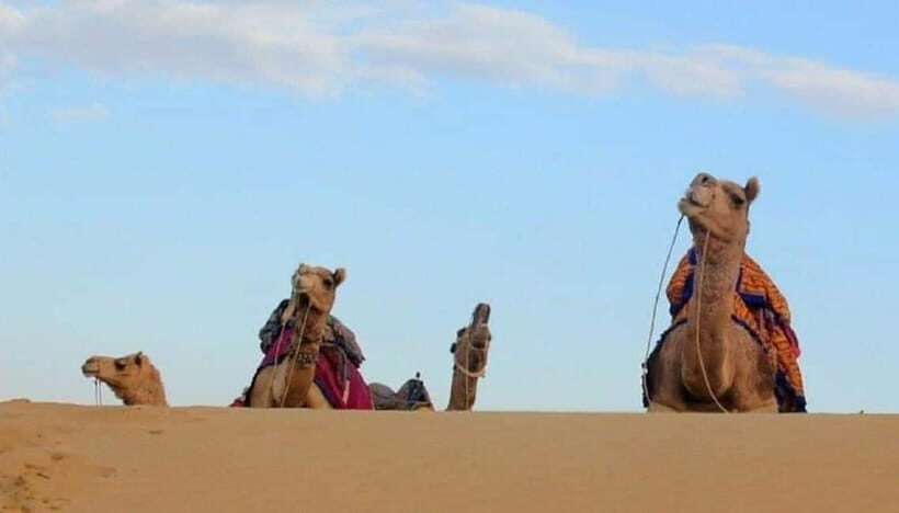 Quiet & Peaceful Night At Luxury Desert Camp - Who Should Consider This Experience?
