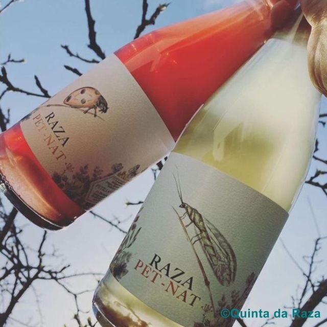Quinta da Raza Natural Wines - Introduction: Why This Experience Might Be Just What You’re Looking For