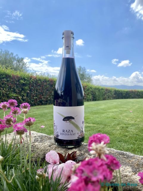 Quinta da Raza Natural Wines - The Practicalities: How This Tour Fits into Your Travel Plans