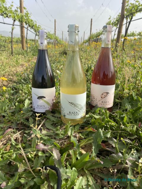 Quinta da Raza Natural Wines - Why This Experience Is Worth Considering