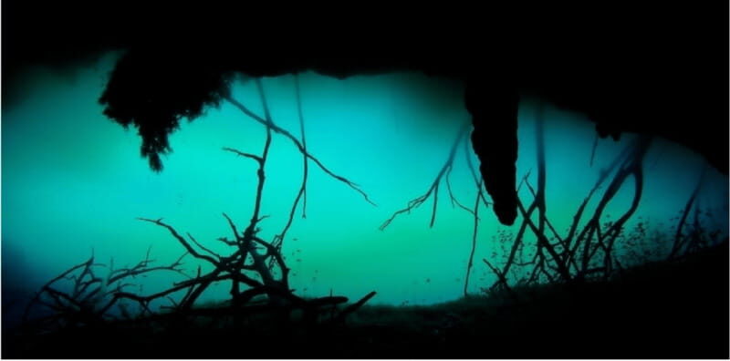 Quintana Roo: Cenote Dive - An In-Depth Look at the Quintana Roo Cenote Dive Experience