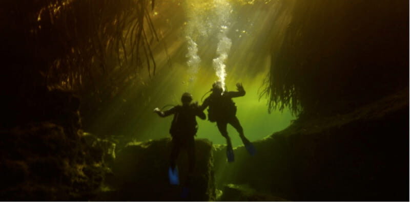 Quintana Roo: Cenote Dive - The Sum Up: The Best Choice for Authentic Cenote Exploration