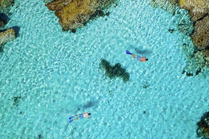 Quokkas Delight Rottnest Island - Who Would Love This Tour?