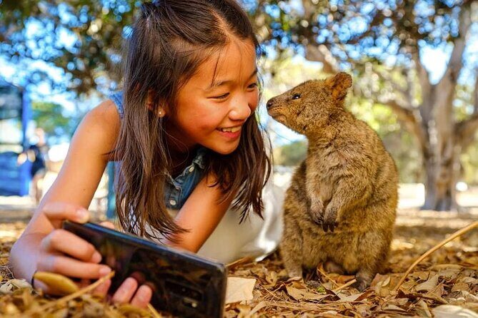 Quokkas Delight Rottnest Island - The Sum Up