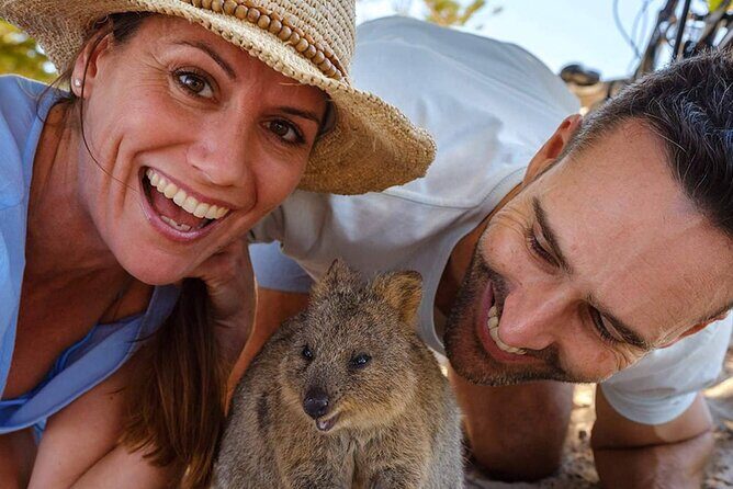 Quokkas Delight Rottnest Island - FAQ