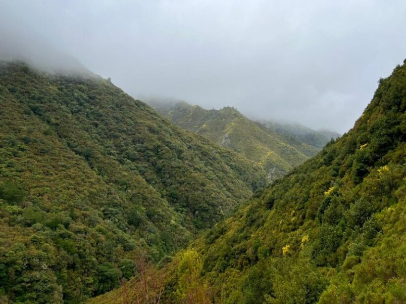 Rabaçal: 25 Fontes & Risco Levada Transfer Self-guided Hike - Itinerary Breakdown
