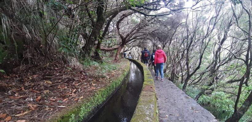 Rabaçal: 25 Fontes & Risco Levada Transfer Self-guided Hike - What Makes This Tour Stand Out?