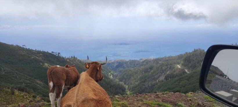 Rabaçal: 25 Fontes & Risco Levada Transfer Self-guided Hike - Practical Tips for the Hike