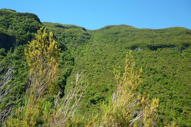 Rabaçal / 25 Fonts - Customer Feedback and Recommendations