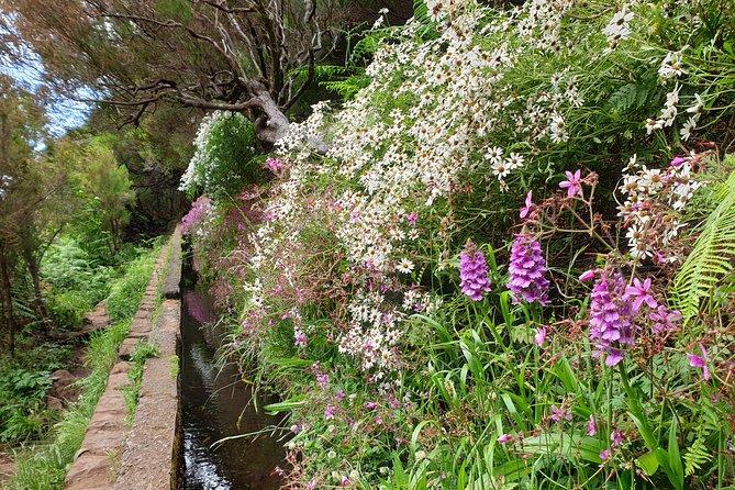 Rabaçal - 25 Fountains - Key Points