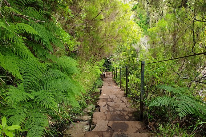 Rabaçal - 25 Fountains - Exploring Rabacal Valley