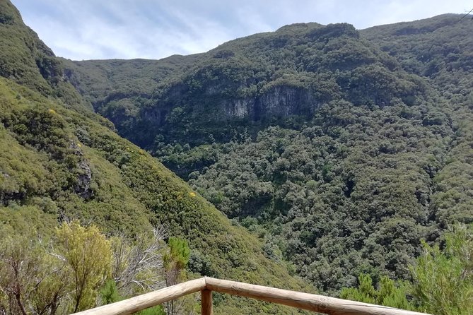 Rabaçal - 25 Fountains - Guided Tour and Local Insights