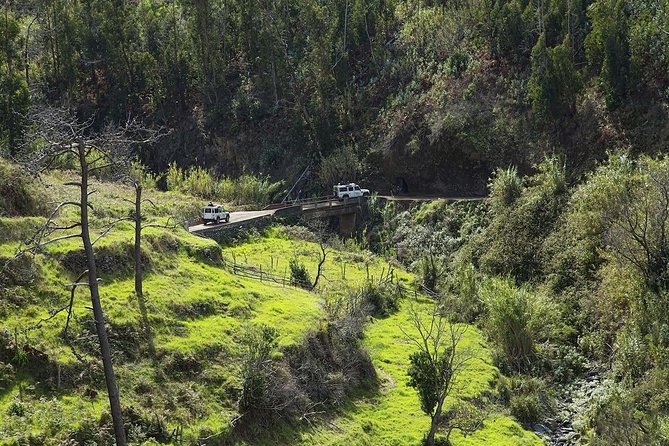 Rabaçal & Cabo Girão- Full Day Walk- Shared Tour - What Travelers Say and Why They Love It