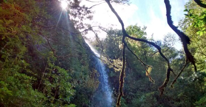 Rabaçal: Lagoa do Vento, Levada Risco and Levada 25 Fontes - An In-Depth Look at the Rabaçal Tour Experience