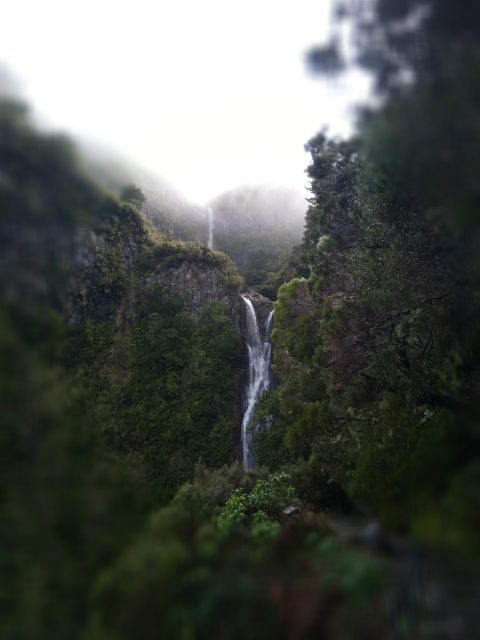 Rabaçal: Lagoa do Vento, Levada Risco and Levada 25 Fontes - The Sum Up: Is This Tour Right for You?