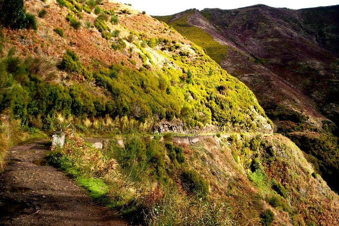 Rabaçal - Levada das 25 Fontes - Discover Madeira’s Natural Marvels with the Rabaçal - Levada das 25 Fontes Tour