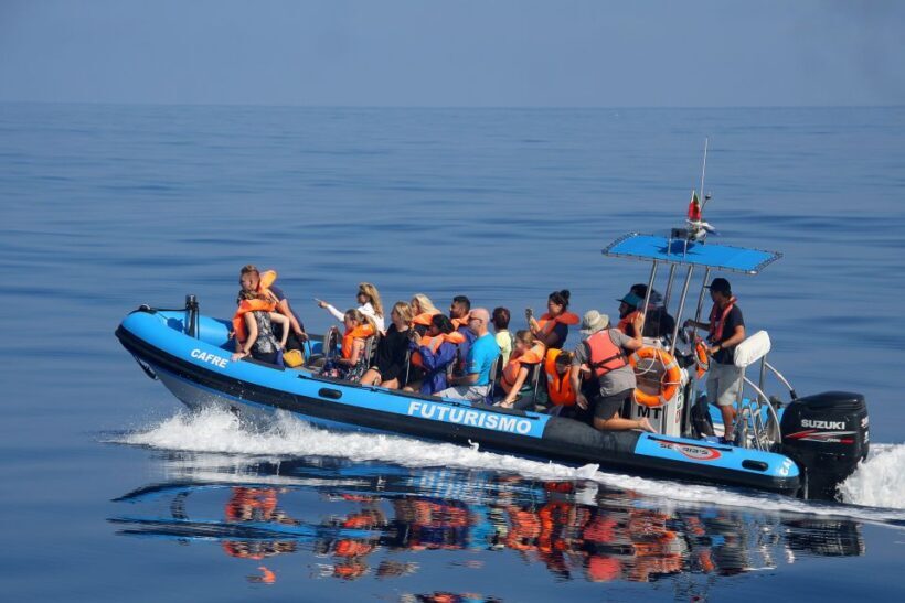 Rabo de Peixe: Sperm Whale Sanctuary Expedition - The Value of This Experience