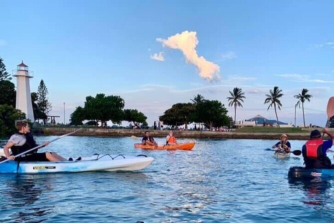 Raby Bay Wildlife Kayak Tour - An In-Depth Look at the Raby Bay Wildlife Kayak Tour