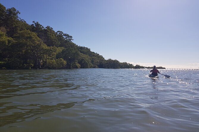 Raby Bay Wildlife Kayak Tour - Final Thoughts: Who Will Love This Tour?