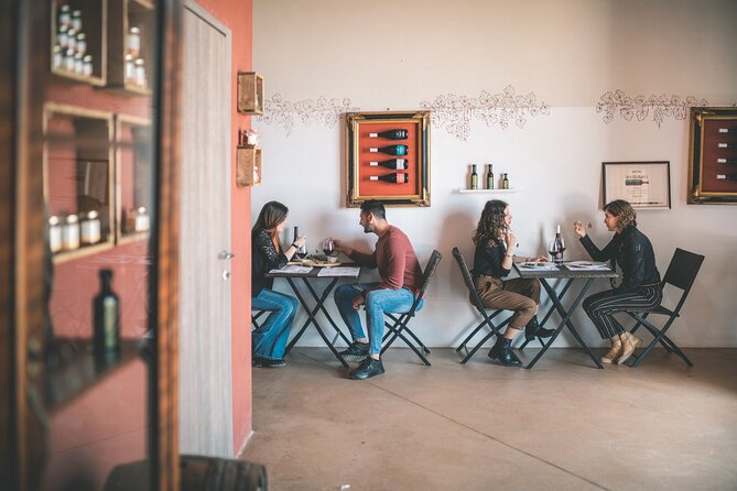 Raccolta delle olive e degustazione vini e olio con brunch ad Alcamo - Tasting the Fruits of the Land
