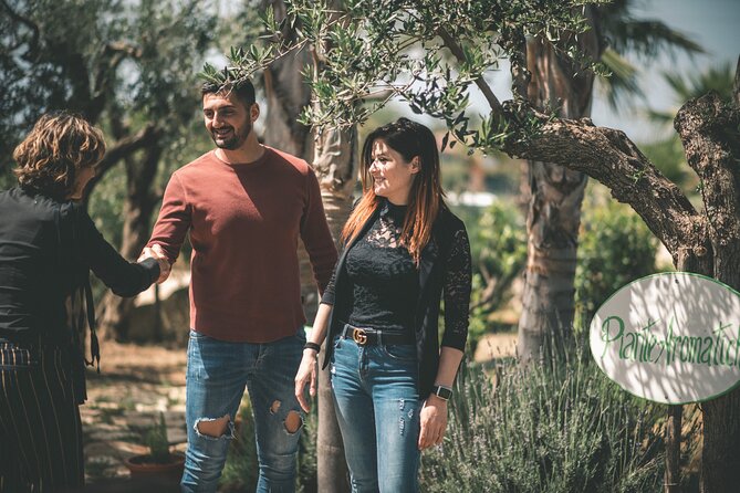 Raccolta delle olive e degustazione vini e olio con brunch ad Alcamo - Who Should Consider This Tour?