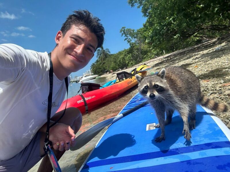Raccoon Island: Exploration on SUP/Kayak - Sandspur Island and Raccoons