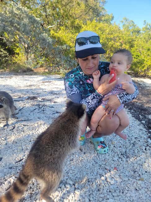 Raccoon Island: Exploration on SUP/Kayak - Sandspur Island and the Raccoon Encounters
