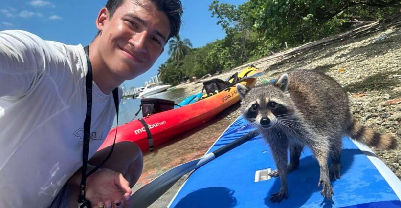 Raccoon Island: Exploration on SUP/Kayak - The Value and Who It’s Best For