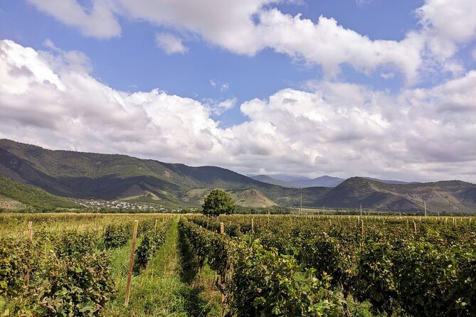 RACHA region with TSKHRAJVARI and wine tasting from Kutaisi - FAQ