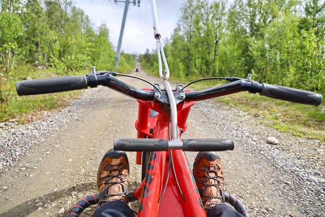 Racing Mountain Cart in Dagali near Geilo, Norway - Key Points