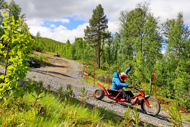 Racing Mountain Cart in Dagali near Geilo, Norway - Authentic Traveler Feedback