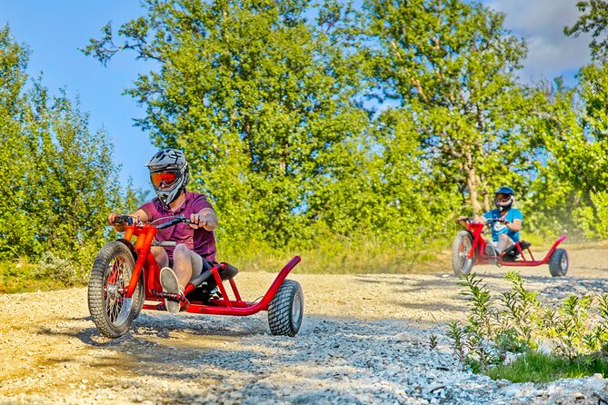 Racing Mountain Cart in Dagali near Geilo, Norway - The Sum Up: Is the Racing Mountain Cart in Dagali Worth It?