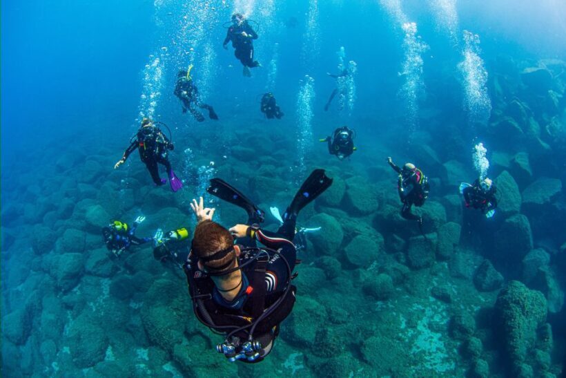 Radazul: Diving Trip in Radazul Bay with Drinks - Why Choose This Diving Trip?