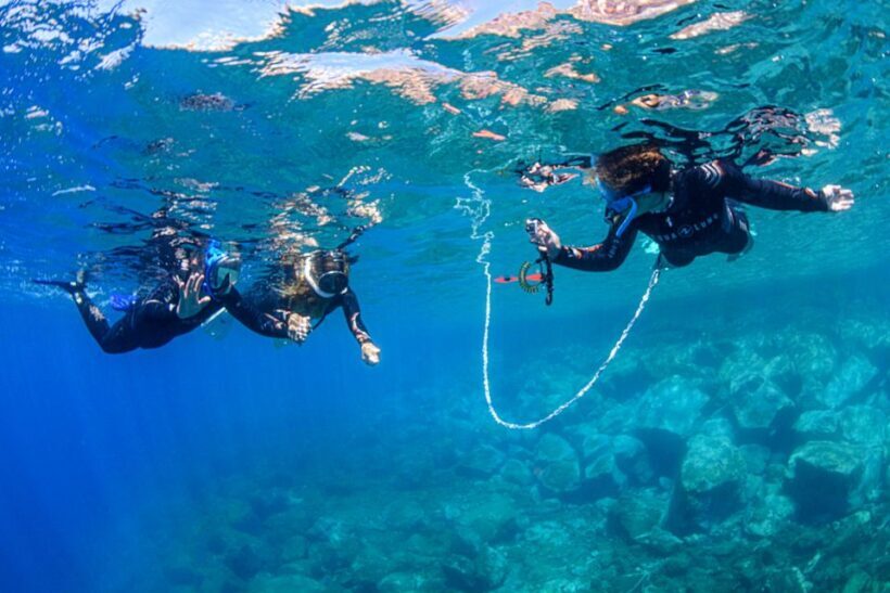 Radazul: Family-Friendly Snorkeling Tour - Key Points