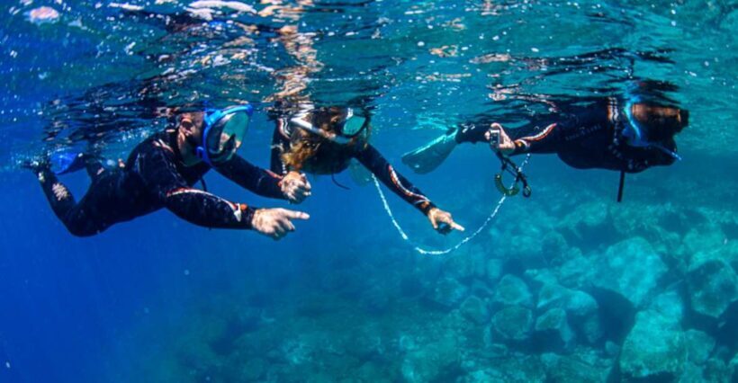 Radazul: Family-Friendly Snorkeling Tour - The Highlight: Watching Marine Life in Action