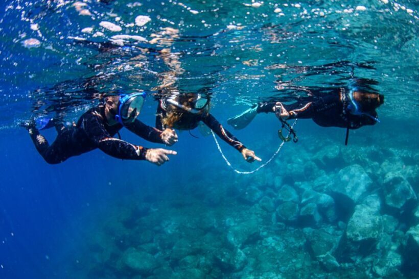 Radazul: Family-Friendly Snorkeling Tour - The Practical Side: What’s Included and What to Prepare