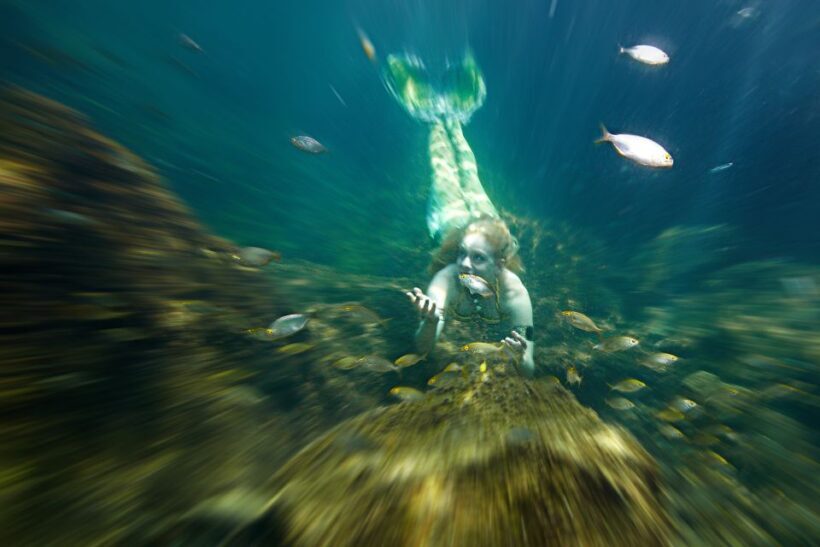 Radazul: Mermaid Experience and Photo Shoot - FAQ
