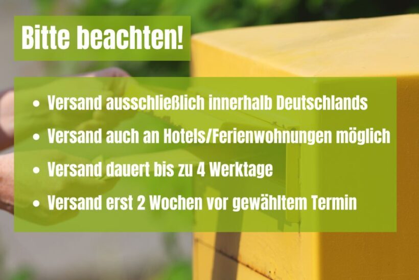 Radebeul: Scavenger Hunt Self Guided Tour - The Sum Up: Is It Worth It?