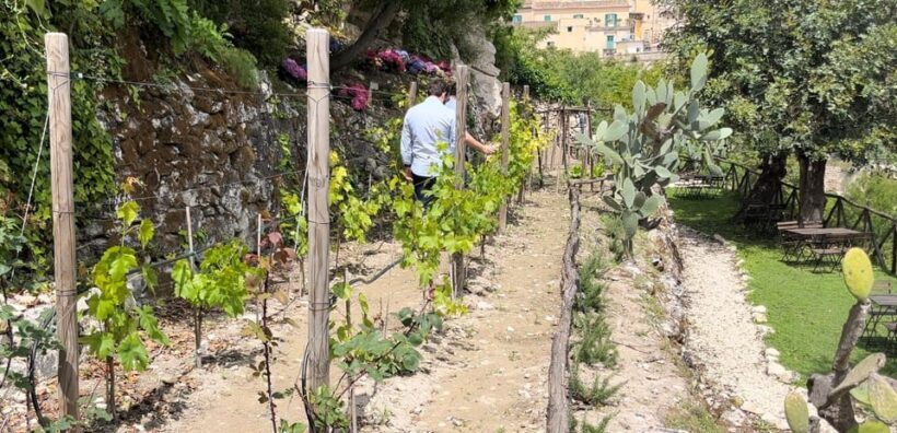 Radici: IImmerse yourself in the heady scents of our garden - A Detailed Look at the Radici Garden Tour