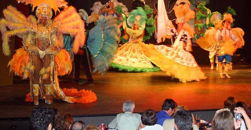 Rafain Palace: Barbecue Dinner Show - Who Should Consider This Tour?