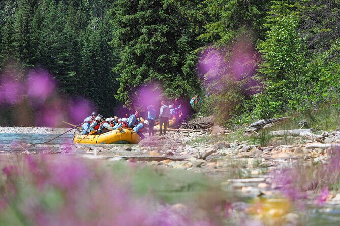 Rafting Adventure on the Kicking Horse River - Who Should Book This Tour?