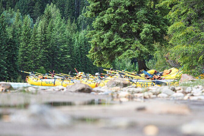 Rafting Adventure on the Kicking Horse River - Practical Tips for Travelers