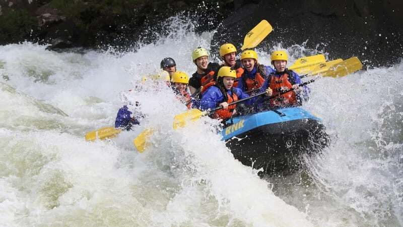Rafting Tour, Transfer & Combo Options with Veg Lunch Option - Key Points