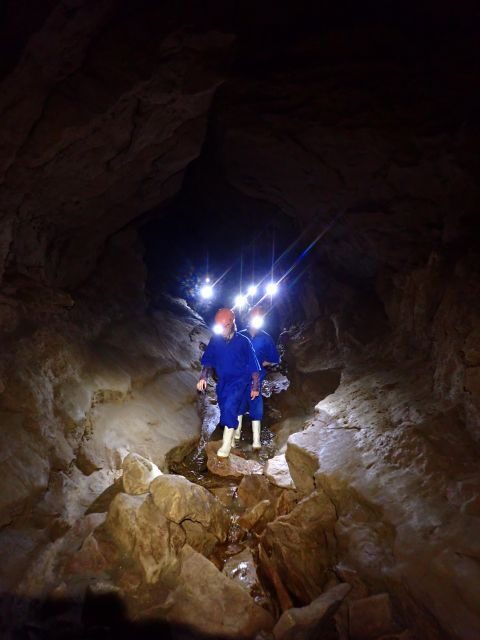 Raglan: Guided Cave Adventure with Glow Worms - Key Points